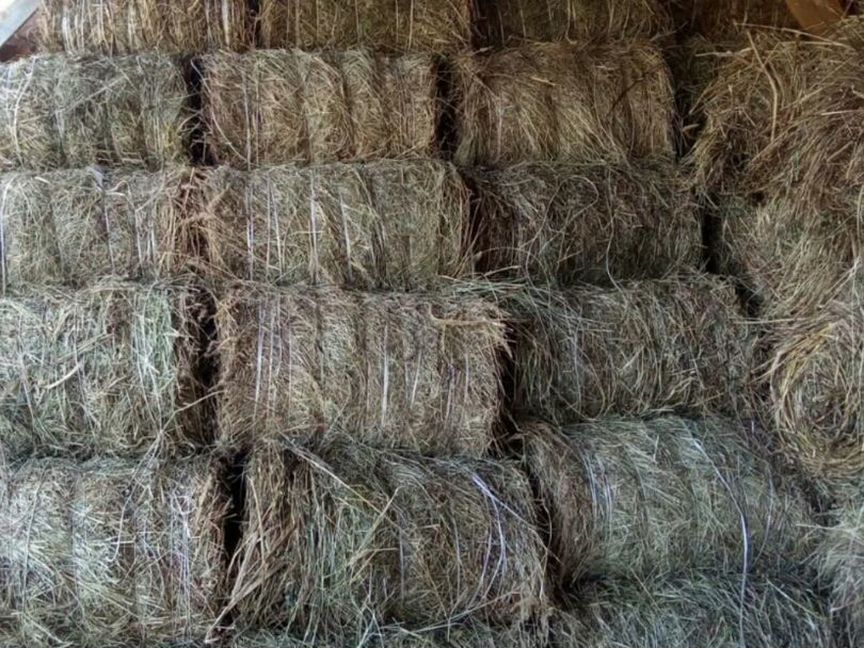 Сено солома в тюках
