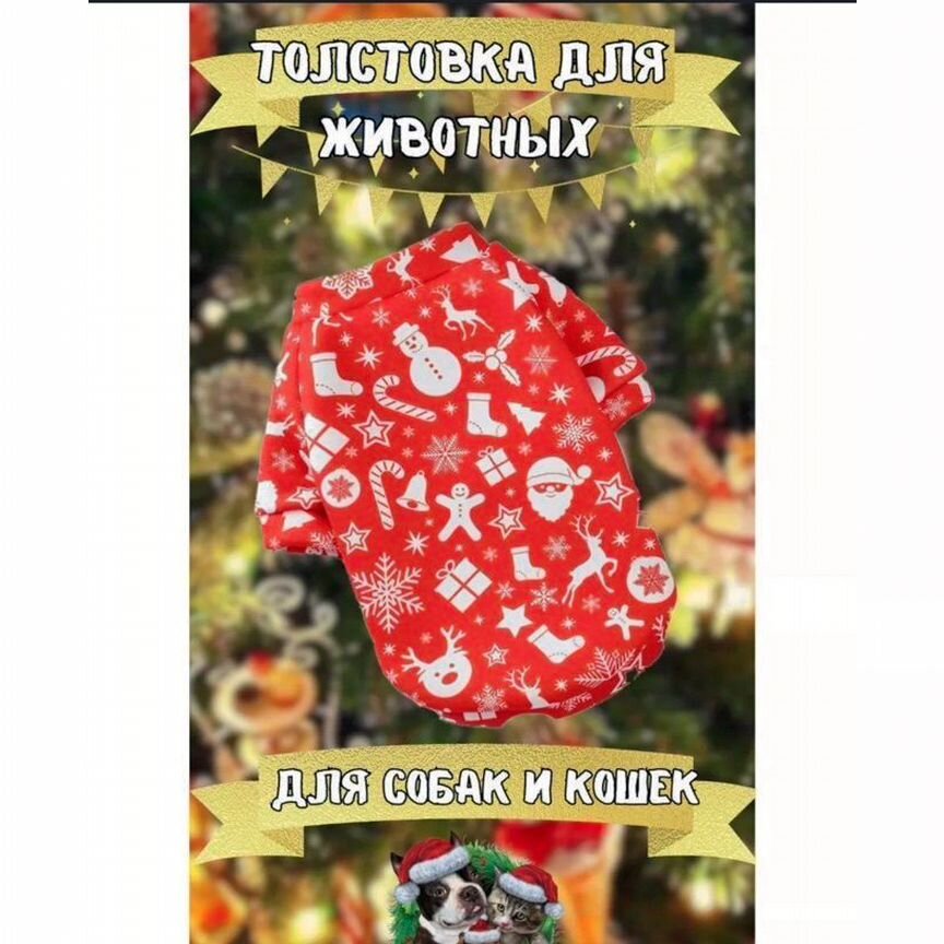 Пайта и ночки для собаки