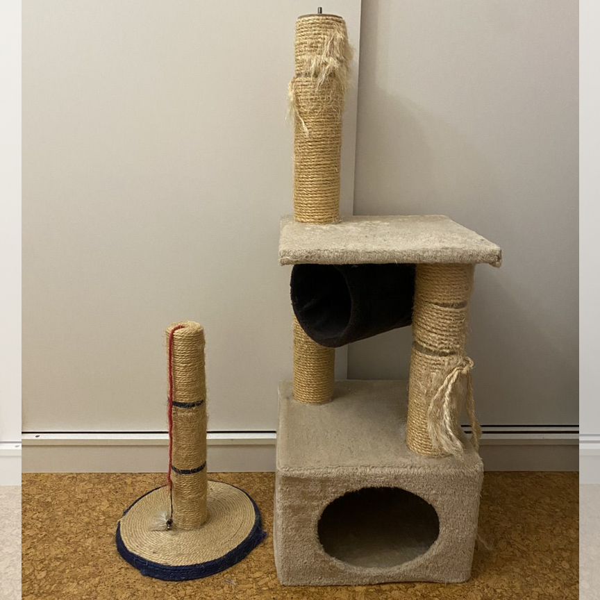 Когтеточка