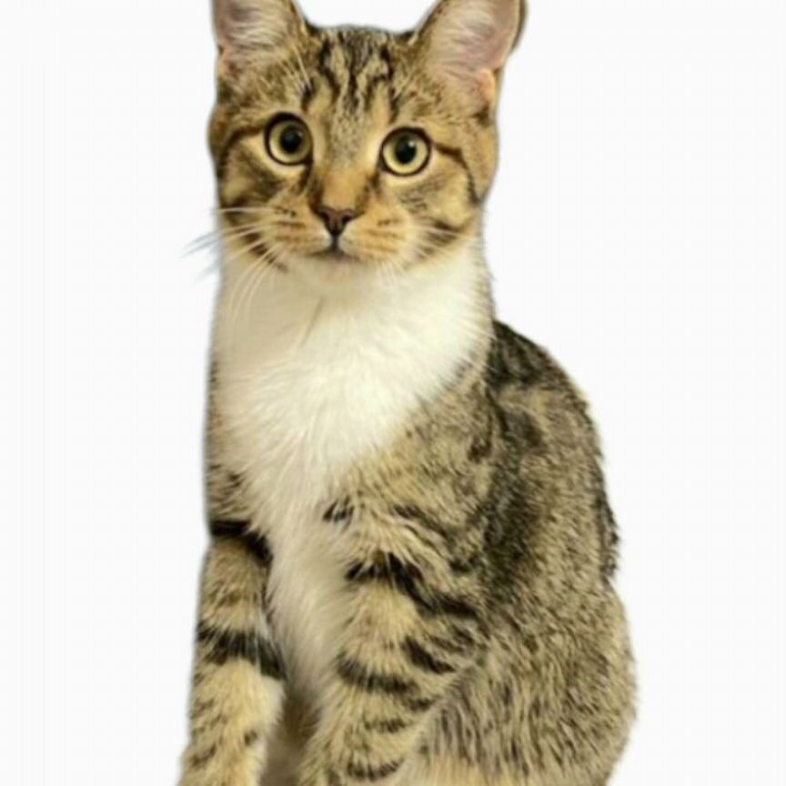 Мальчик Тима в заботливые руки