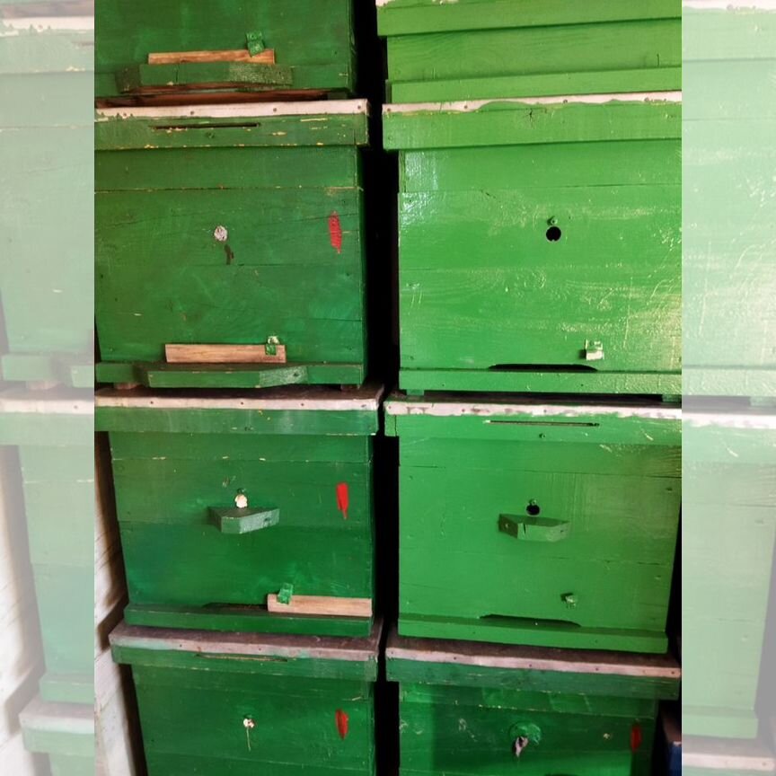 Улей для пчел