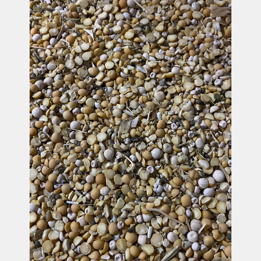 Сечка гороха