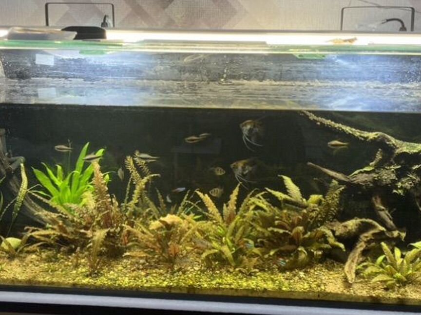 Аквариум 320 литров