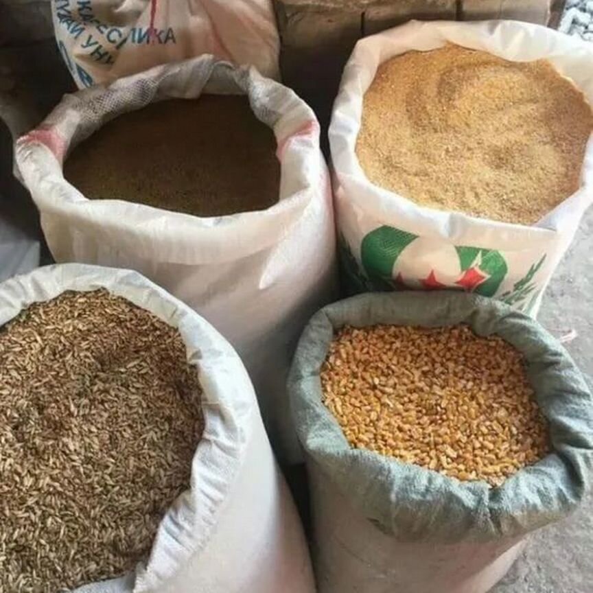 Ячмень Фураж