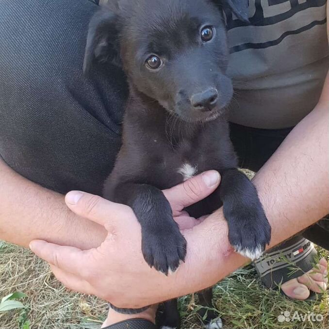 Малышам нужны любящие ручки