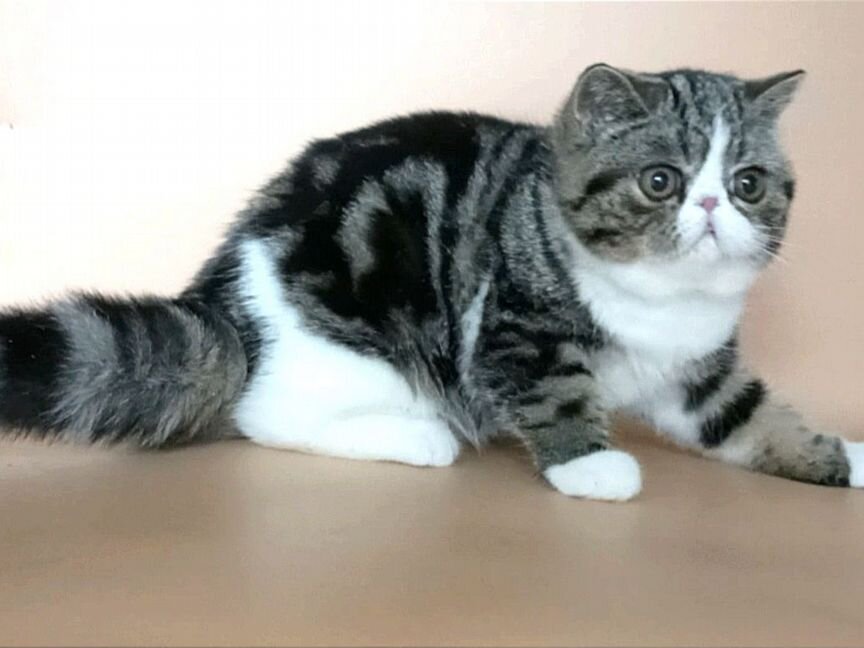 Экзотическая