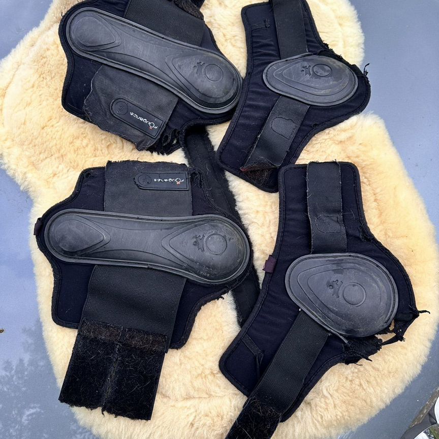 Ногавки на лошадь cob