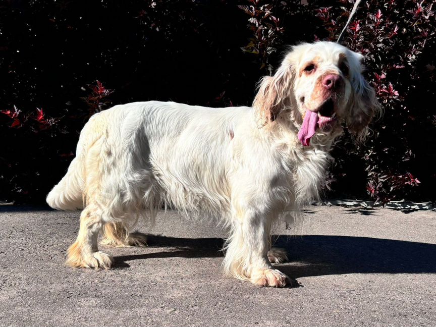 В поисках семьи