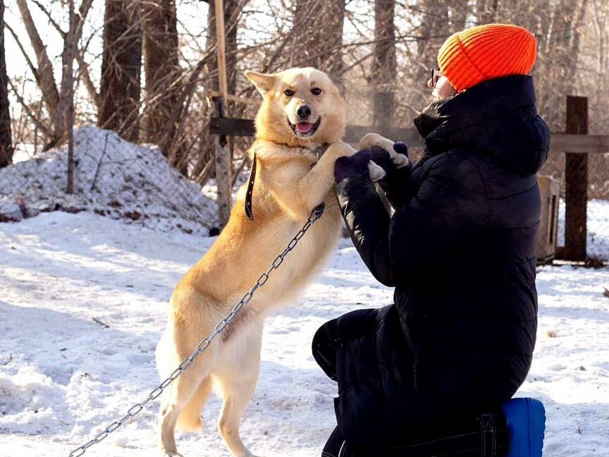 Собака Нюра. Очень контактная