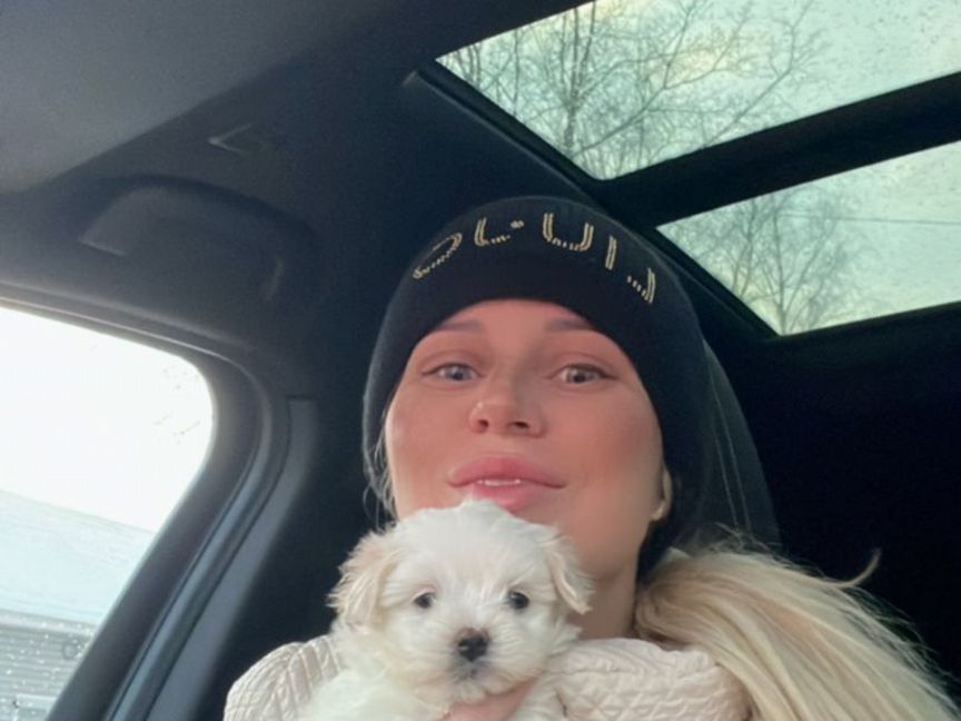 Мальтезе, Болонка, Мальтийская болонка