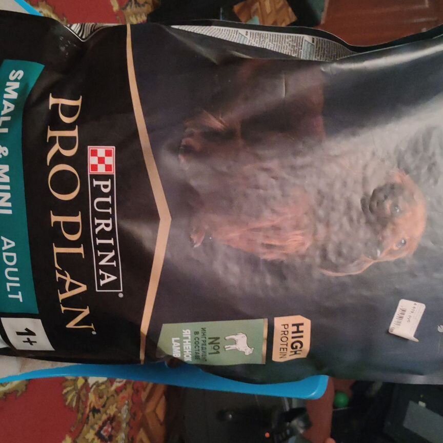 Корм для собак и кошек