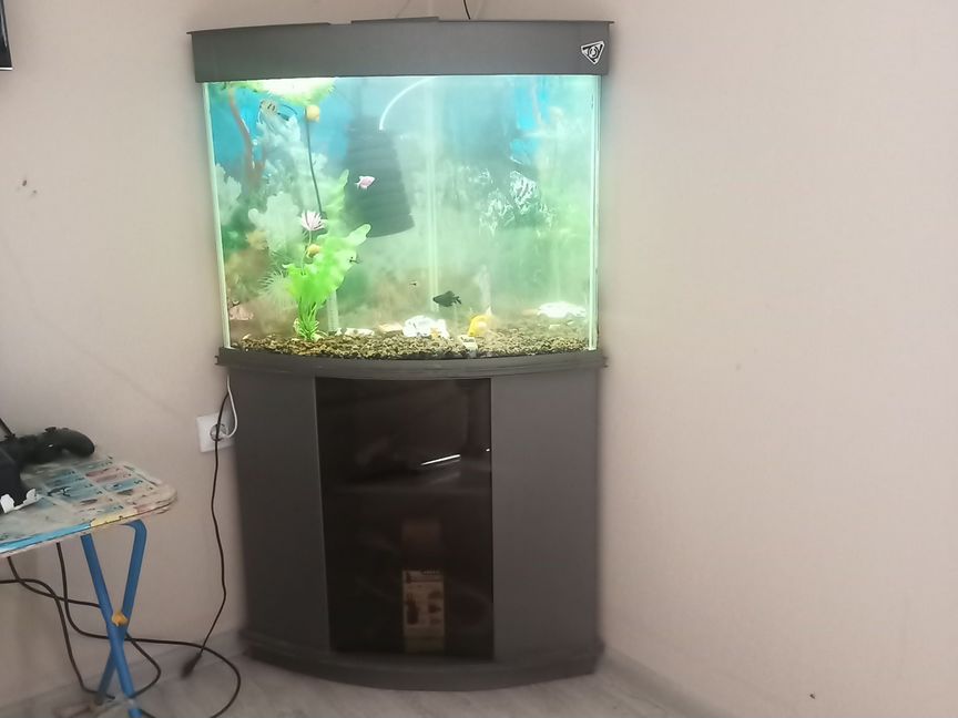 Аквариум 100л. с тумбой крышкой