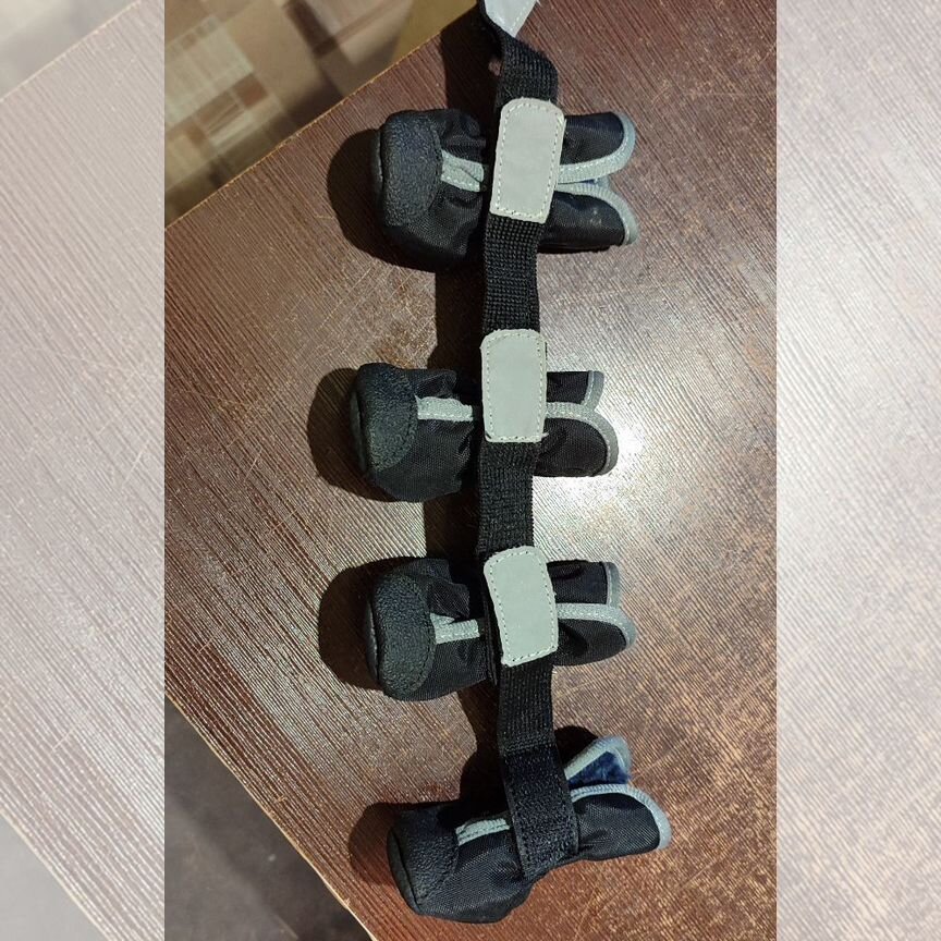 Обувь для собак