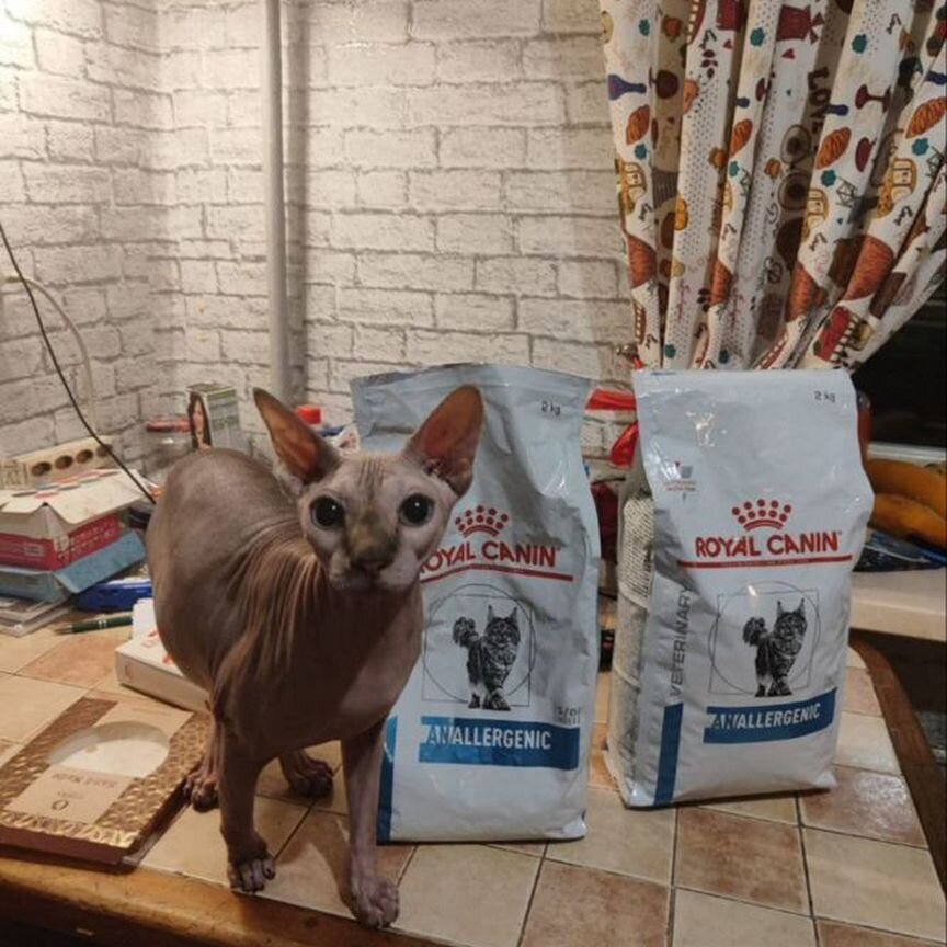 Royal canin anallergenic для кошек