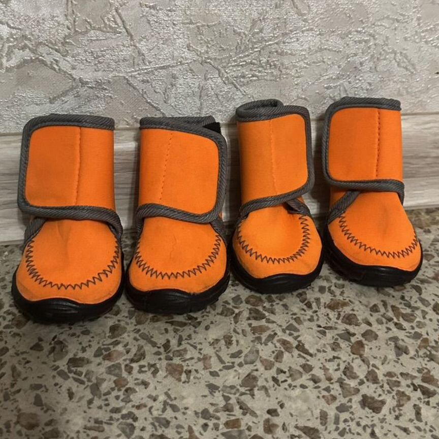 Обувь для собак мелких пород