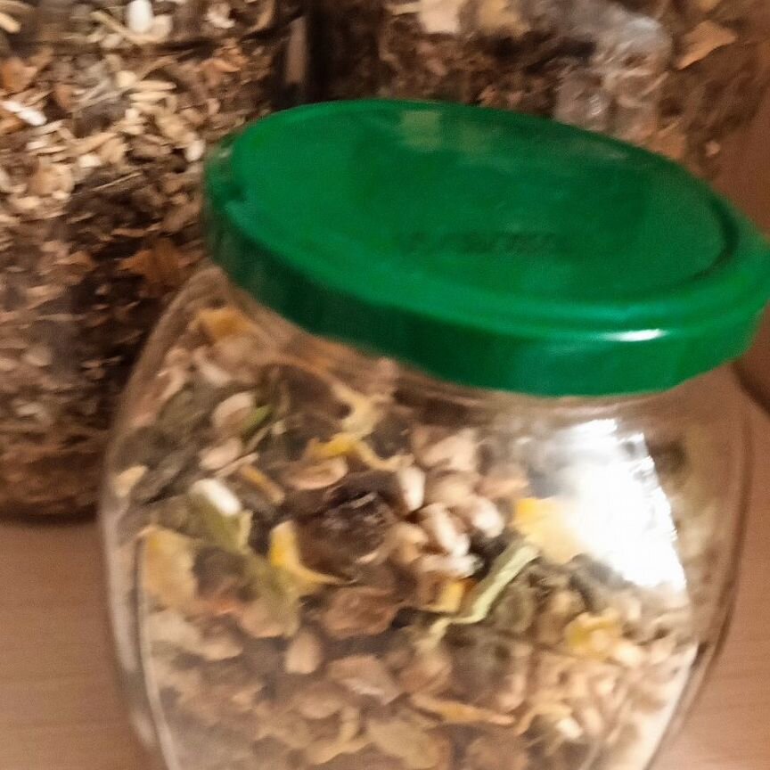 Всё для морской свинки