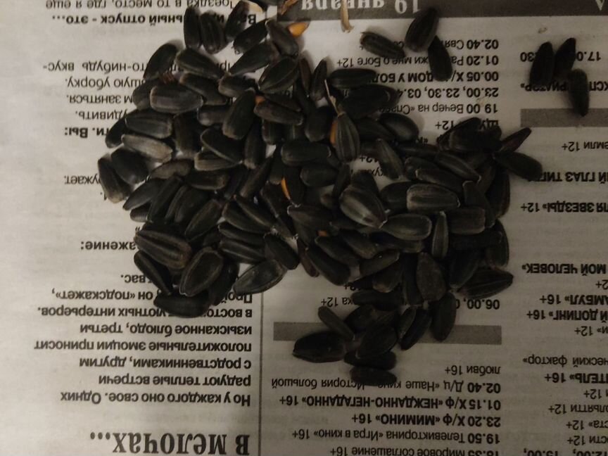 Подсолнечные семечки