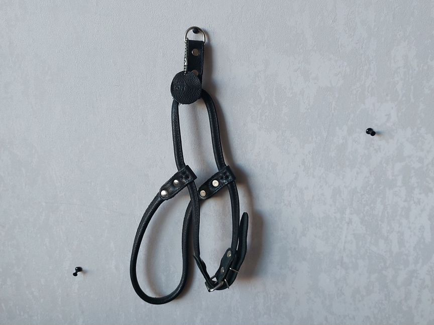 Шлейка для собак