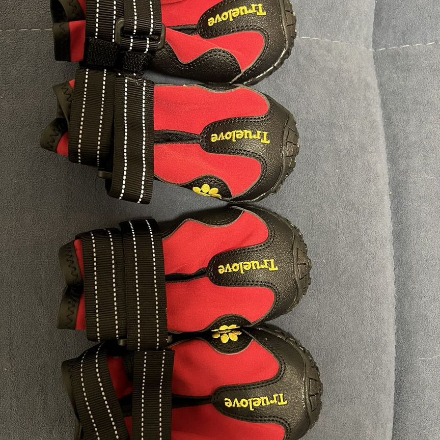 Обувь для средних и крупных пород собак