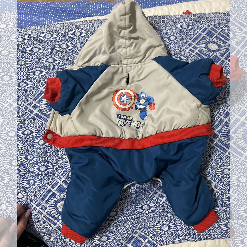 Одежда для маленьких собак м