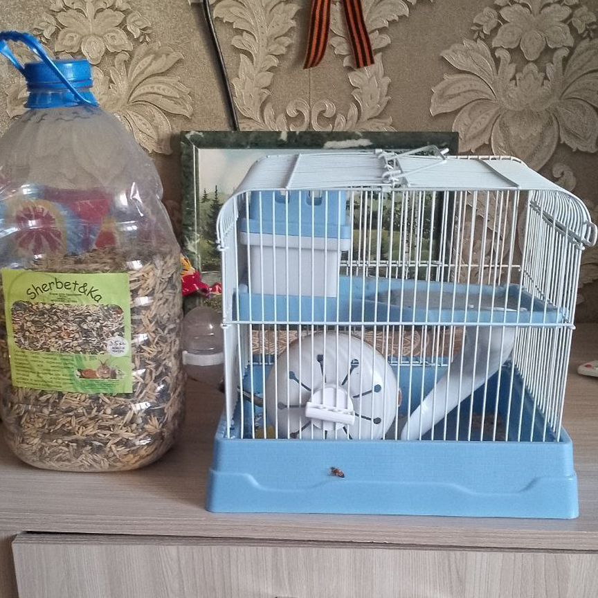 Клетка для хомячка с кормом