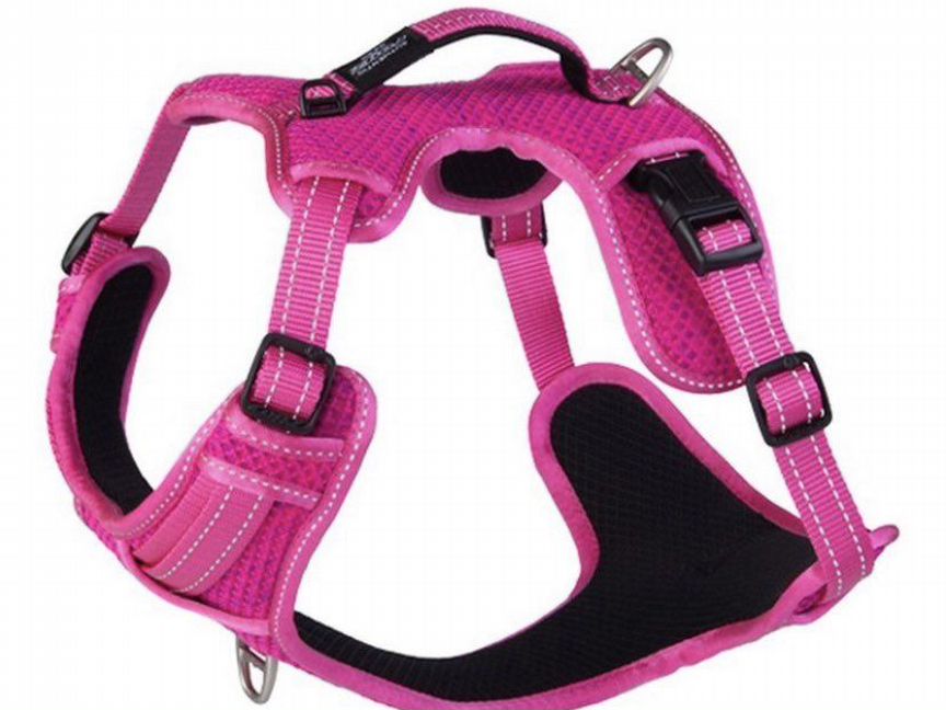 Шлейка Rogz Utility Explore для собак,45-70 см