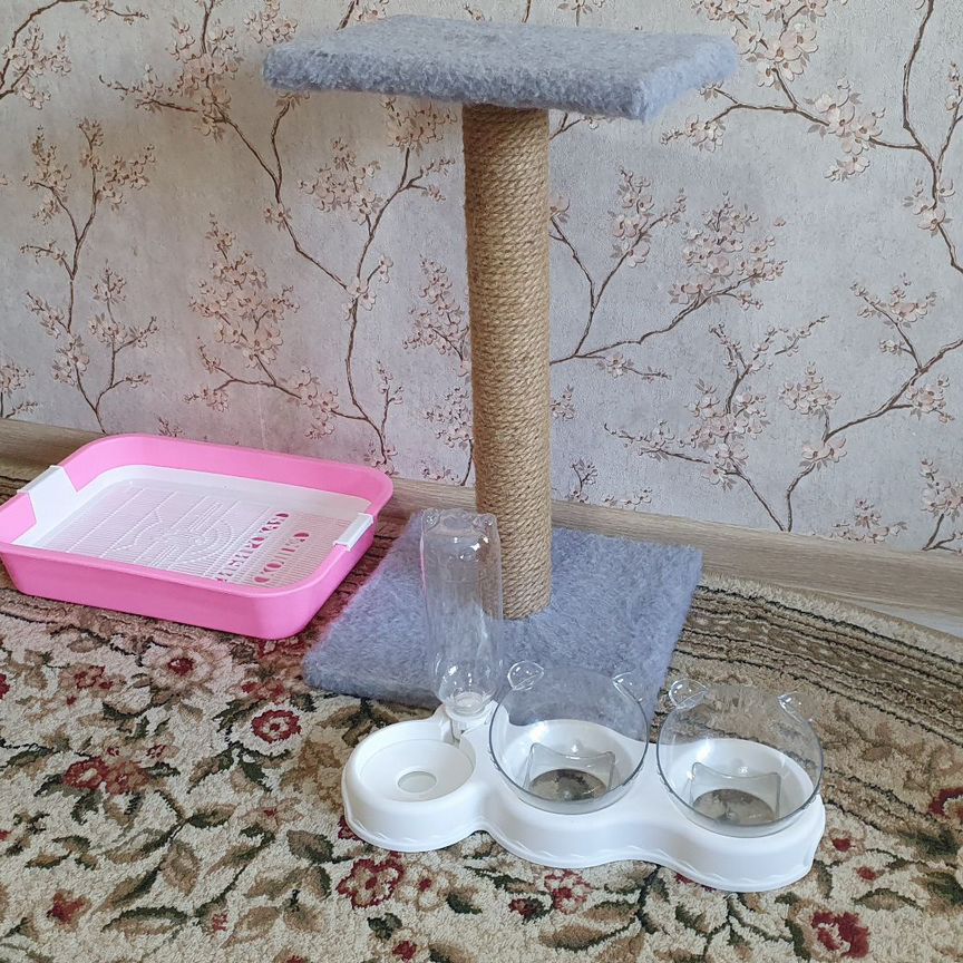 Для котят кота или кошки миска лоток когтеточка