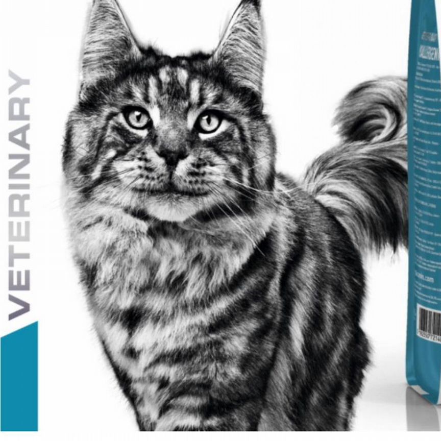 Корм сухой Royal Canin hypoallergenic для кошек
