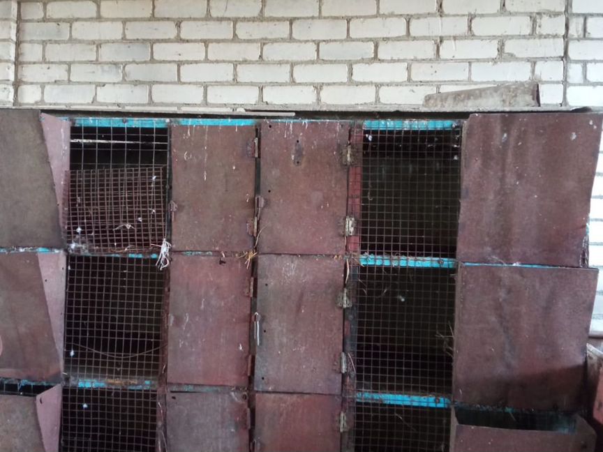 Клетка для разведения кроликов или нутрий