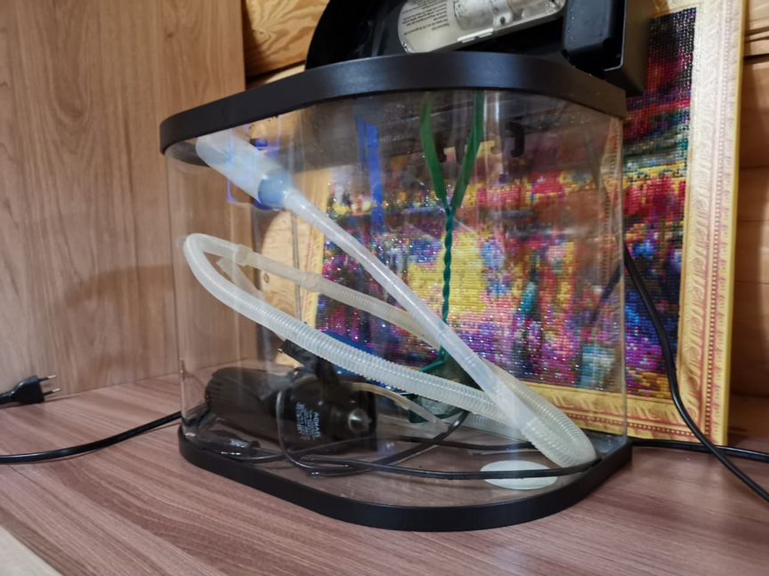 Аквариум на 20 литров