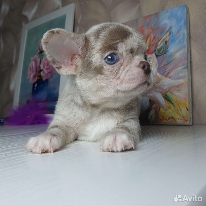 Один на миллион