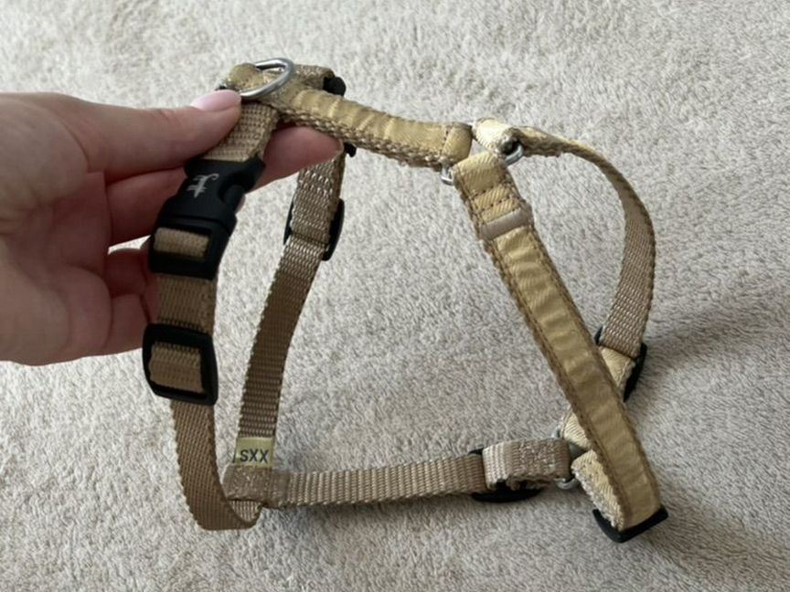 Шлейка от бренда Шарик Дог