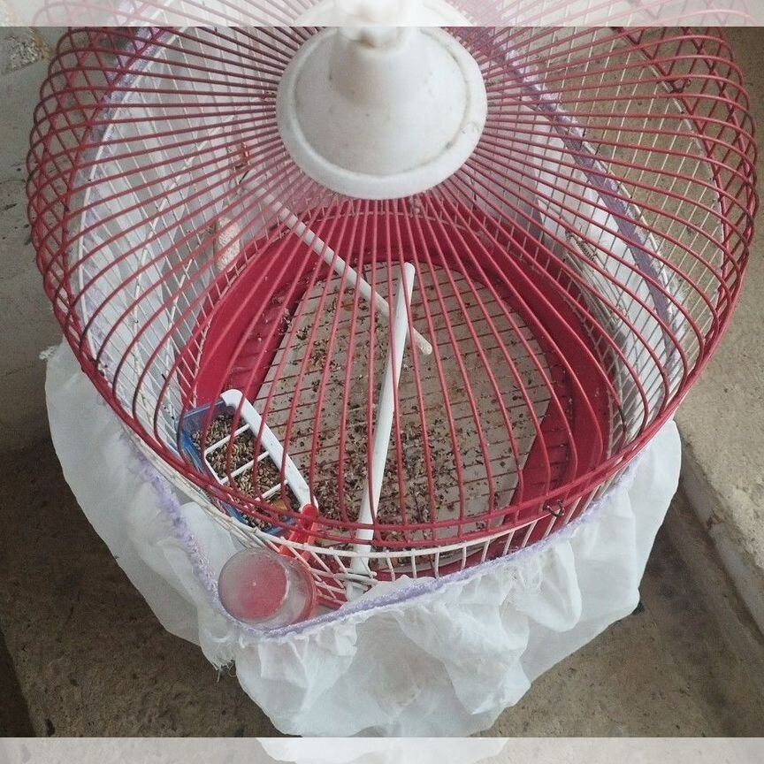 Клетка для птиц бу