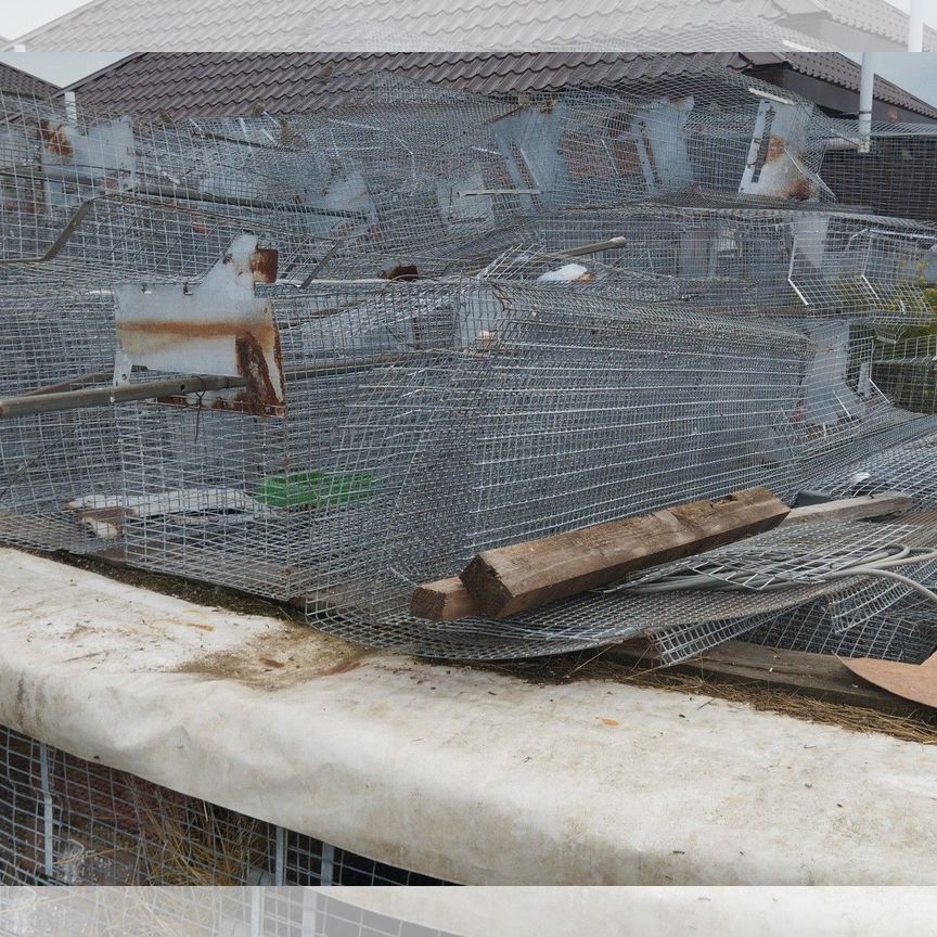 Клетка для несушки , готовая как на фабрике