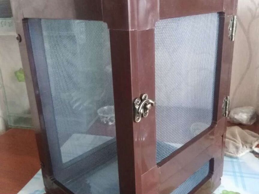 Террариум для богомола или палочника. Для бабочек