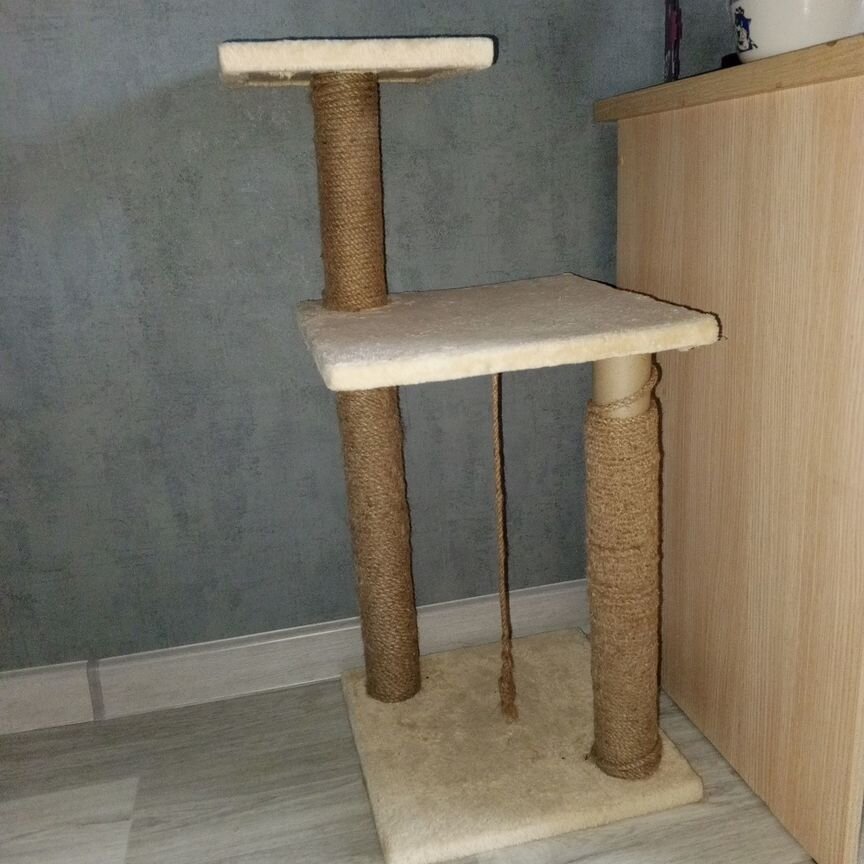 Когтеточка