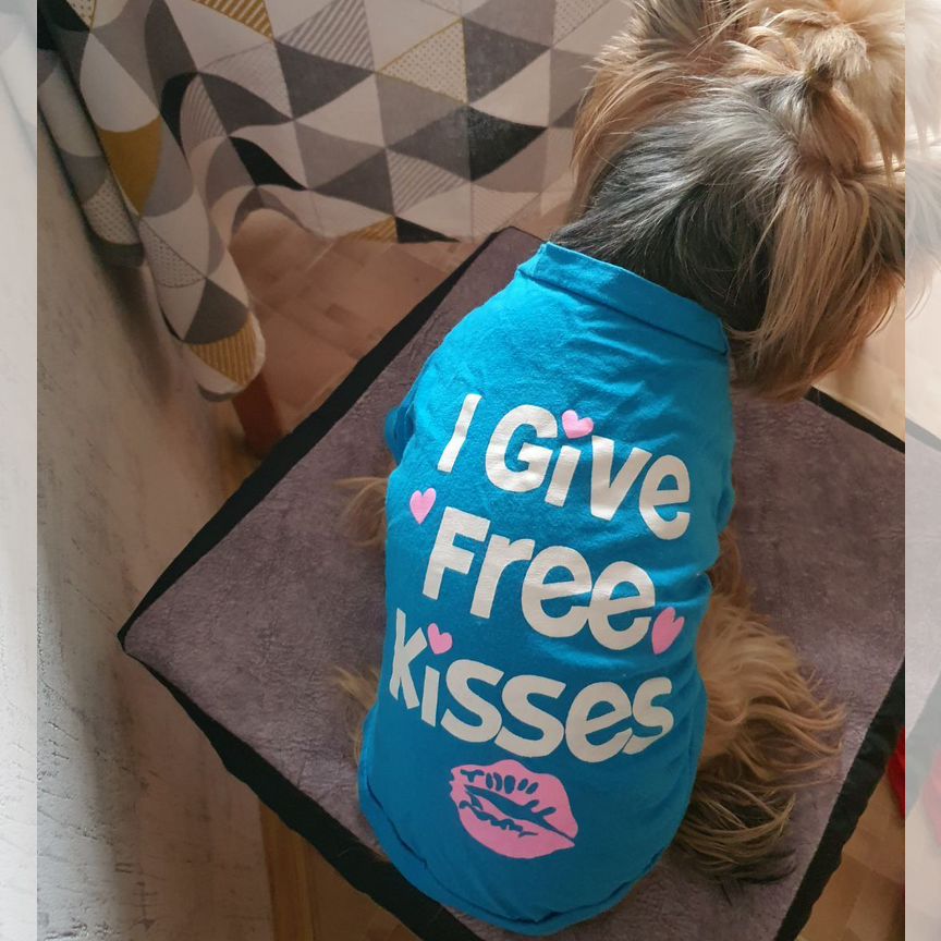 Вещи доя собак