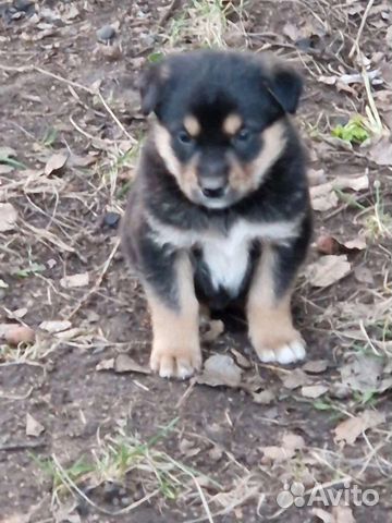 Милый малыш