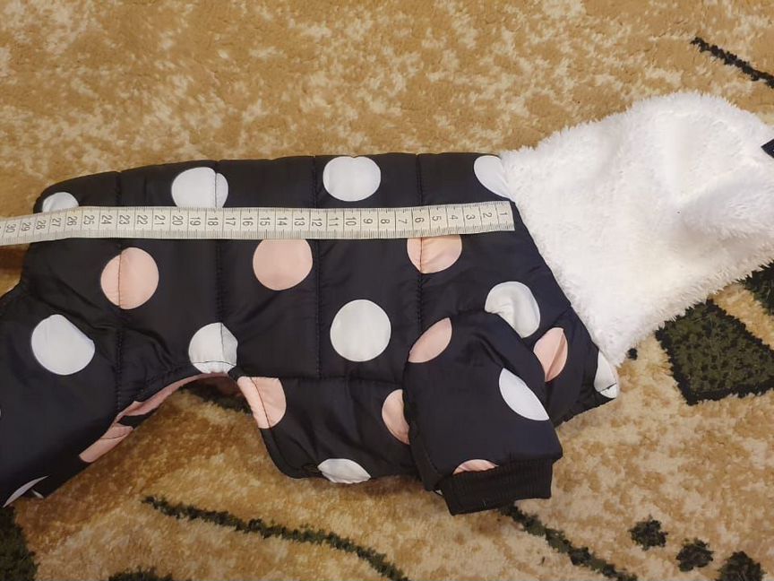 Одежда для собак мелких пород