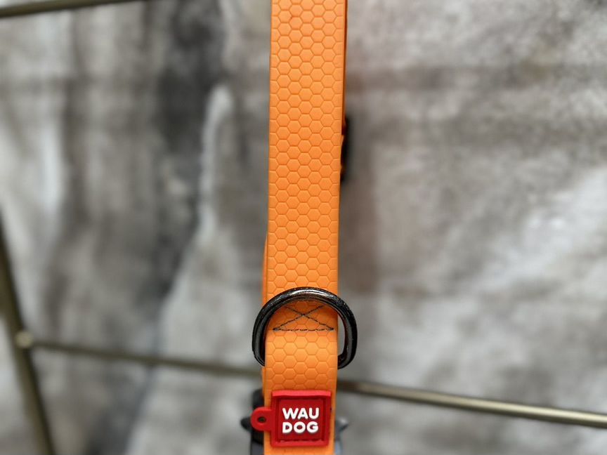 Ошейник waudog