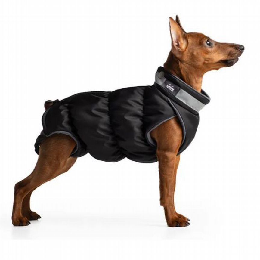 Жилетка для средних собак,мальчик