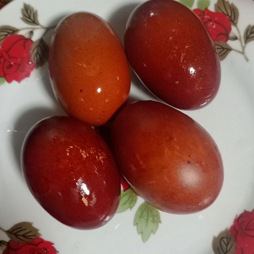 Цыплята породы маран