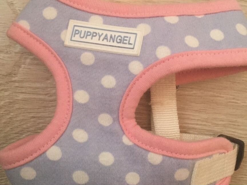 Шлейка Puppy angel
