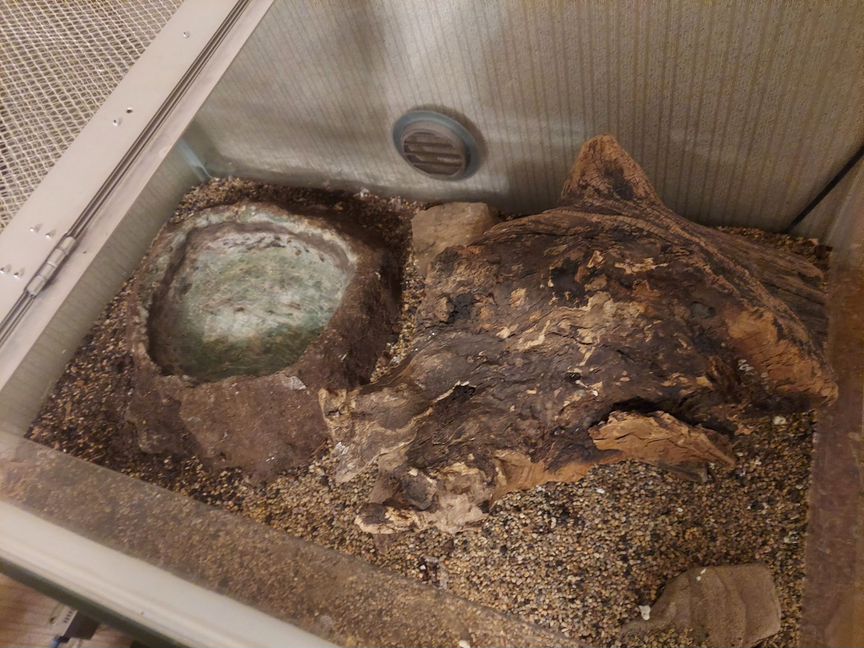 Террариум для рептилий