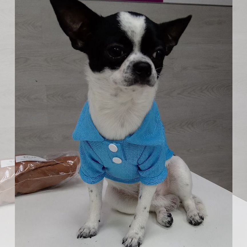 Ищем даму сердца