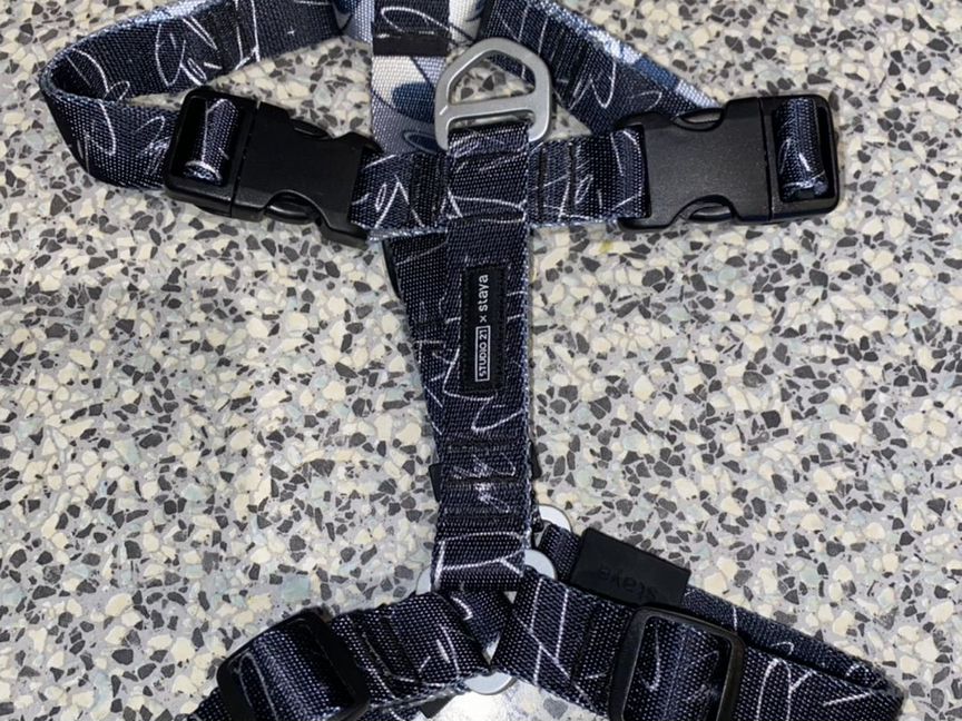 Анатомическая шлейка staya