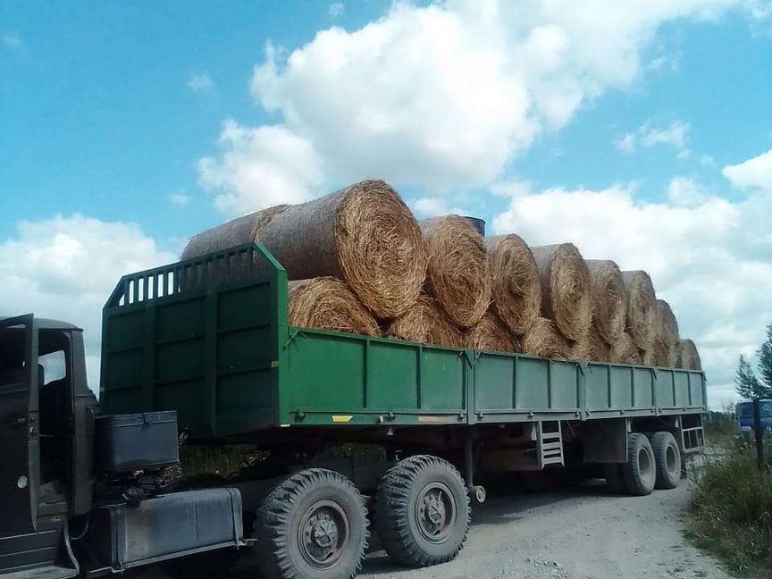 Сено в рулонах с доставкой