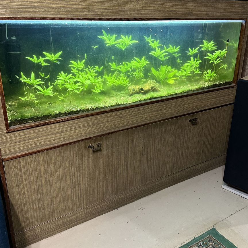 Продам аквариум бу