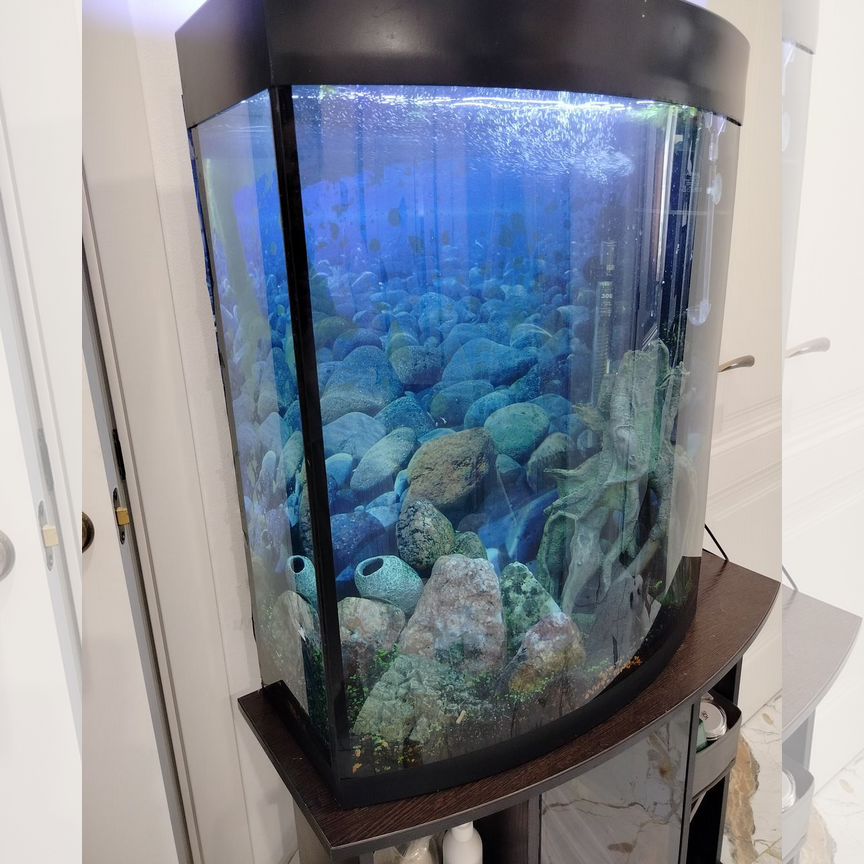 Аквариум с тумбой бу в санкт-петербурге