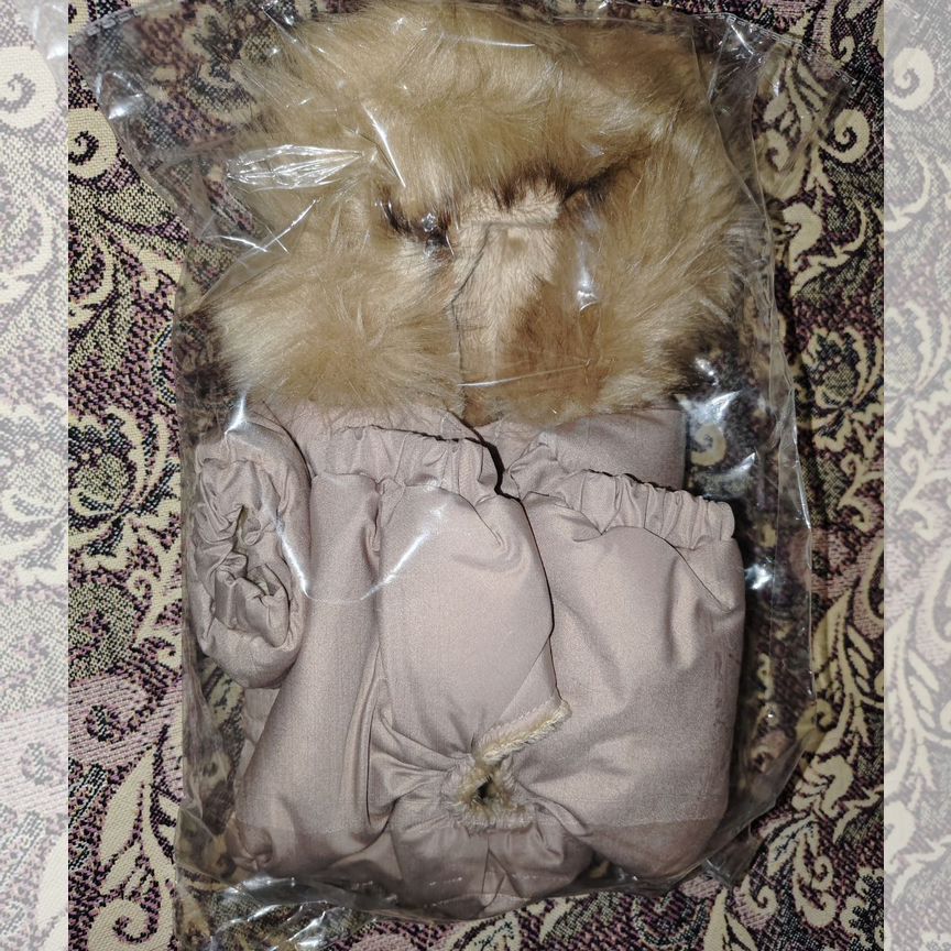 Одежда для маленьких пород собак